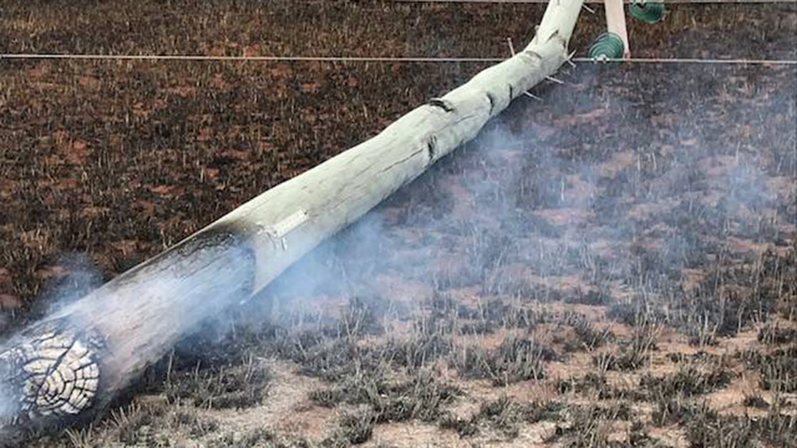 Protect power poles when you burn | Energex
