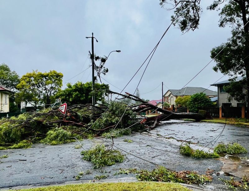 Tropical Cyclone Alfred Update - 8 March | Energex
