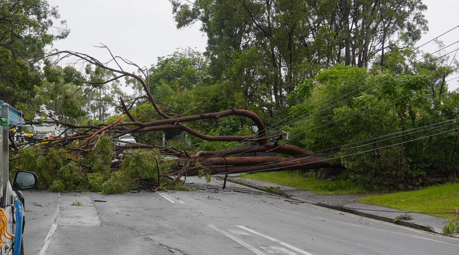 Ex-Tropical Cyclone Alfred Update - 10 March | Energex