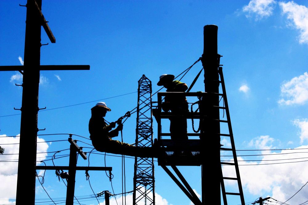 Contractor training | Energex